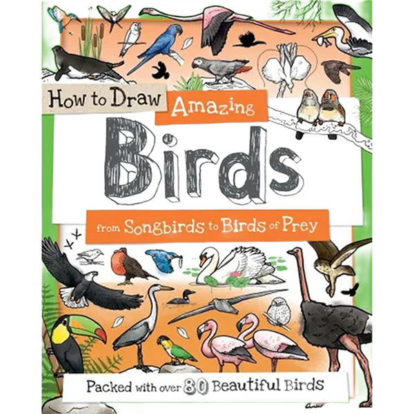 Sourcebooks How to Draw Amazing Birds – Easy Step-by-Step Guide ...